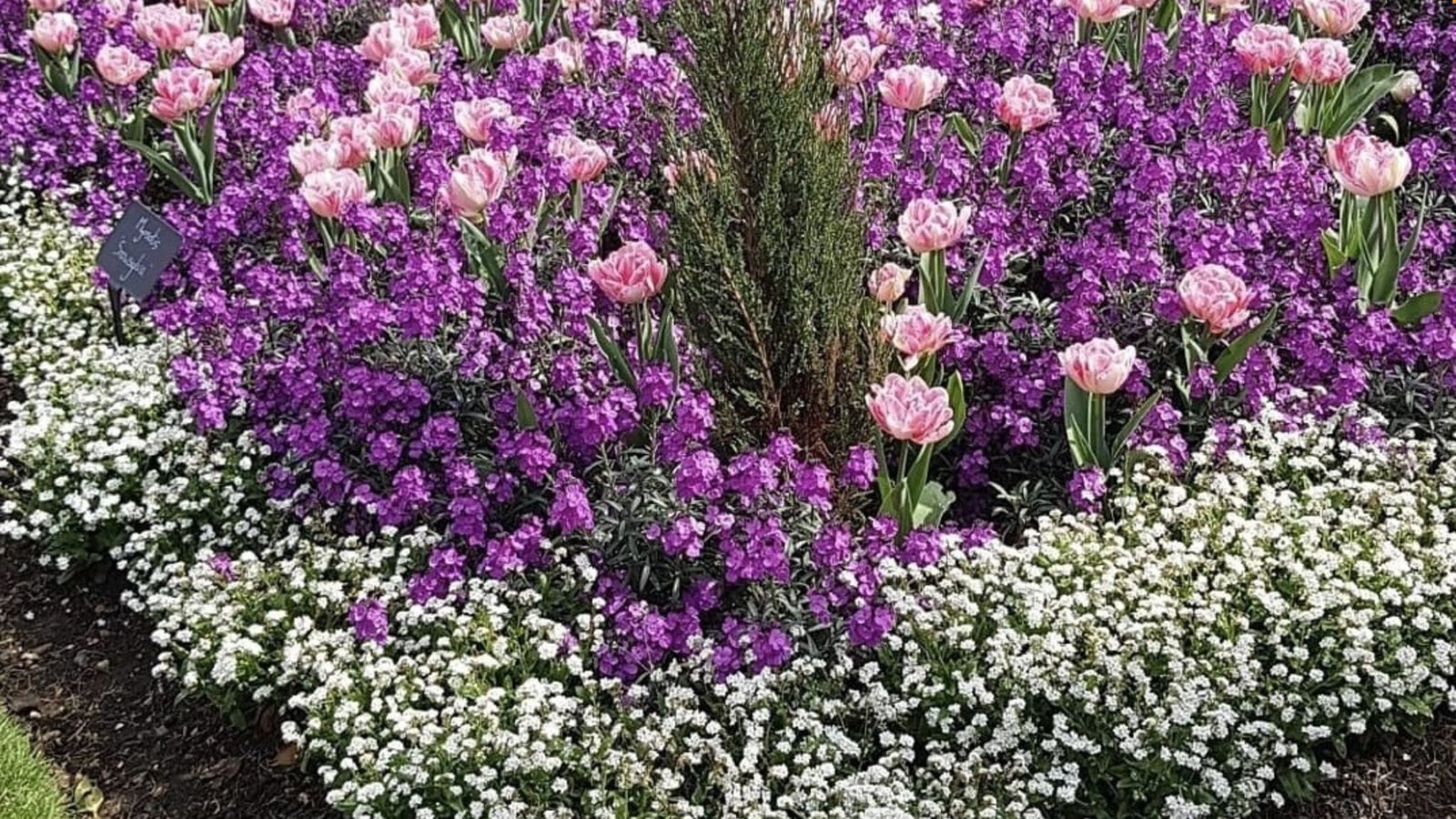 Mum Vibes Supporting You Through All Stages Of Motherhood