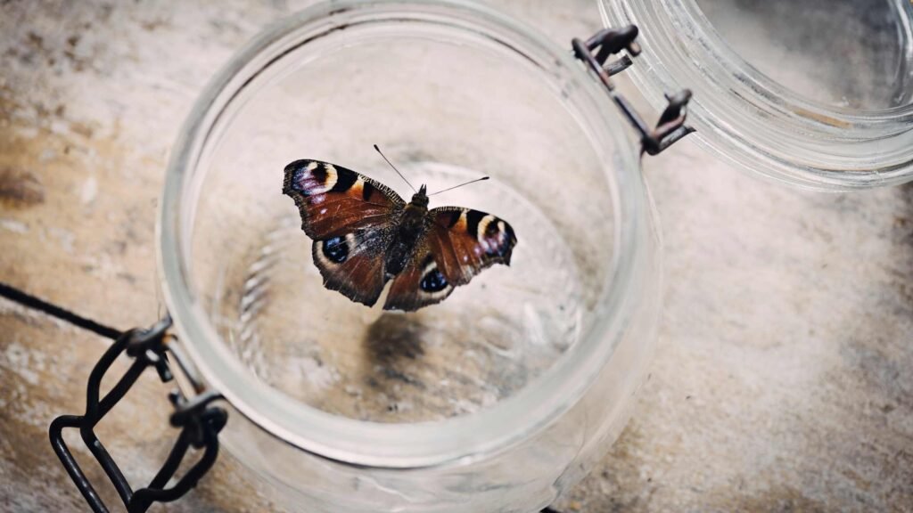 Mum Vibes Supporting You Through All Stages Of Motherhood